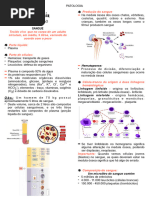 5Hs e 5Ts Da PCR | PDF | Coração | Sangue