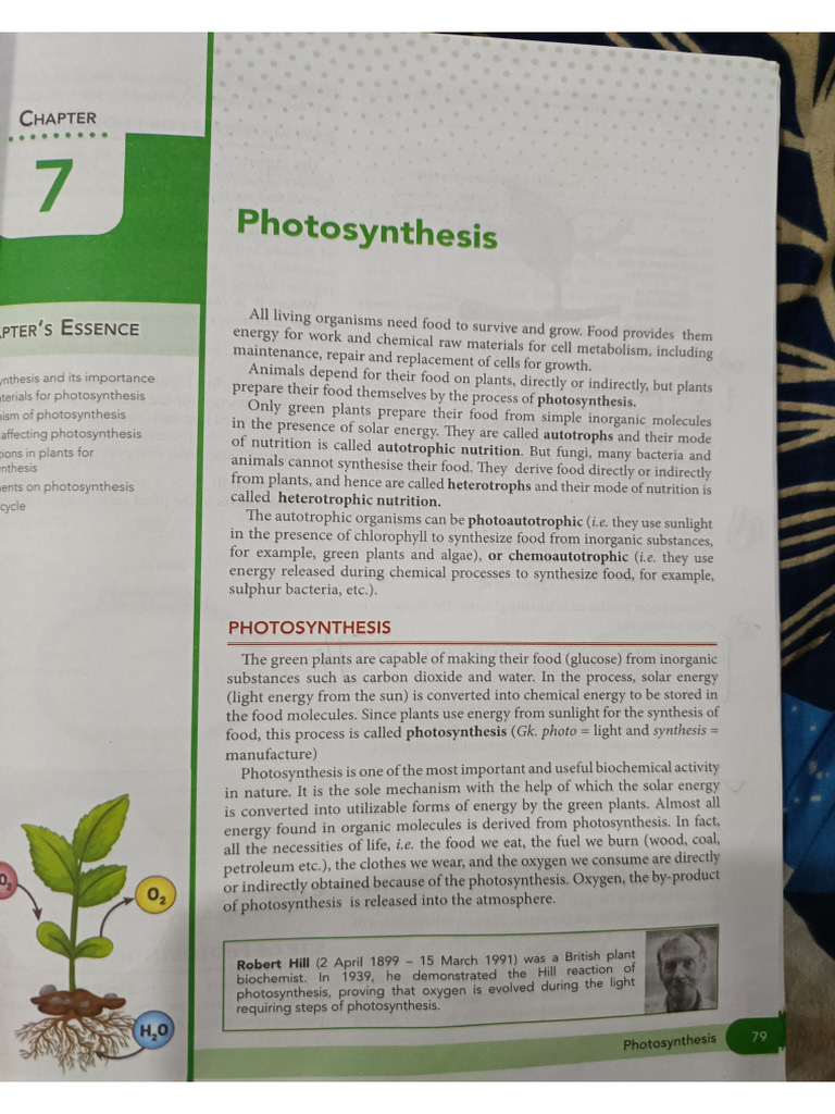 STD X CH 7 Photosynthesis Exercise | PDF