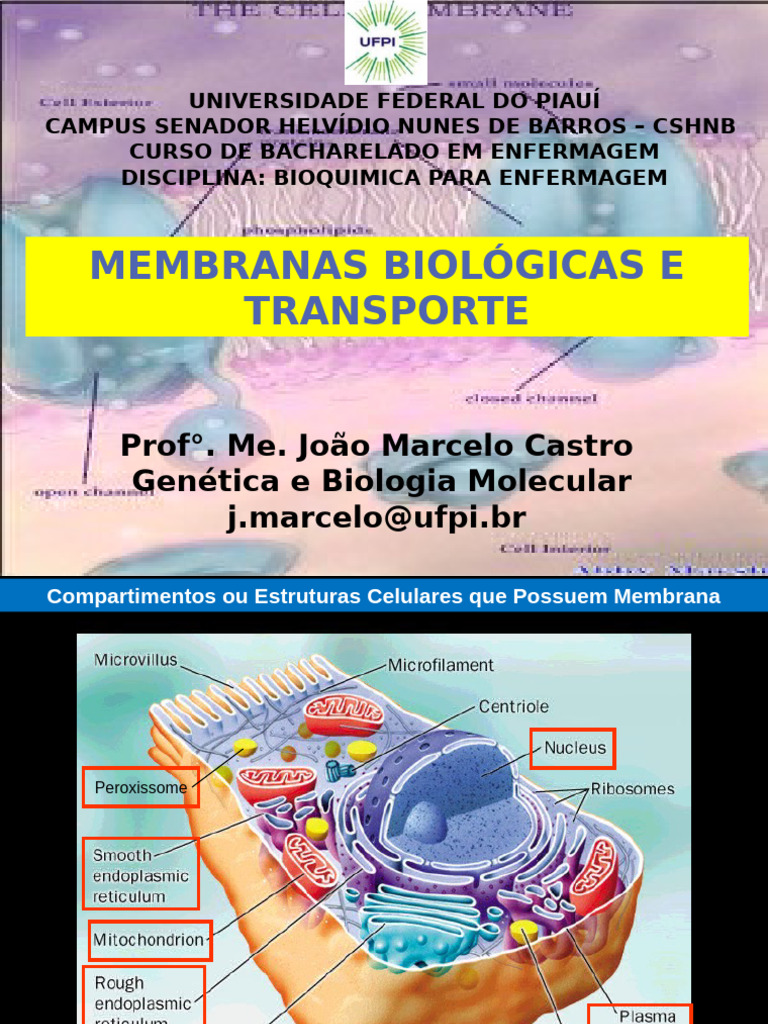 Aula 03 - Membranas Biológicas e Transporte (1) | PDF | Membrana ...