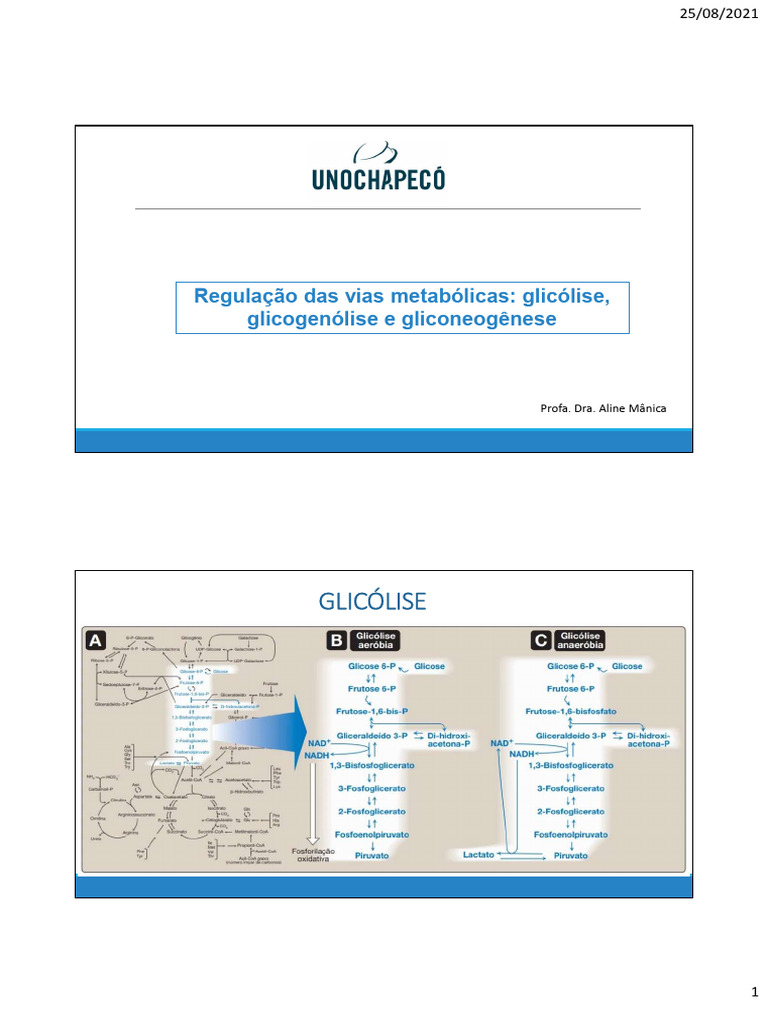 Regulação Das Vias Metabólicas Glicolise, Glicogenolise e ...