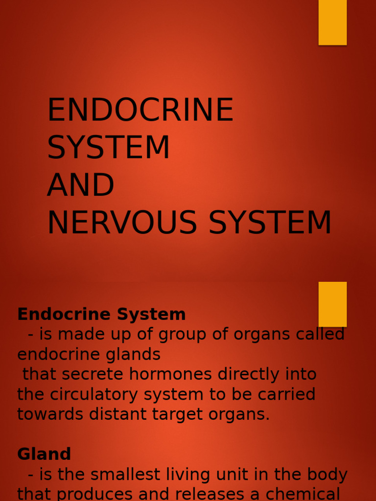 Endocrine and Nervous System | PDF | Endocrine System | Hormone