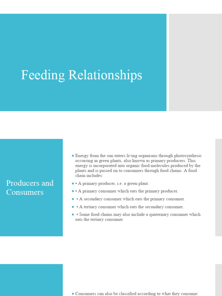 Understanding Feeding Relationships in Ecosystems | PDF | Predation ...