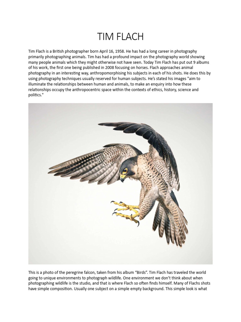 Tim Flach: Transforming Animal Photography | PDF