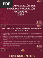 Rev Lineamientos Pvu | PDF | Vacunación | Enfermedades y trastornos