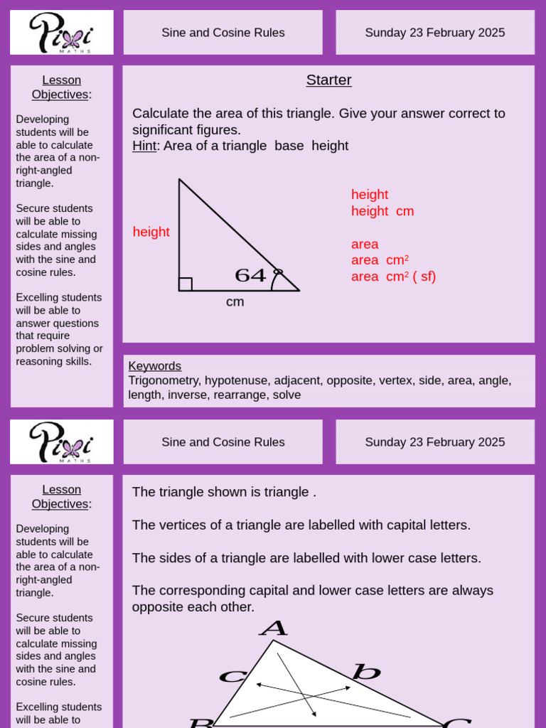 Sine And Cosine Rules Pixippt Pdf Trigonometry Triangle