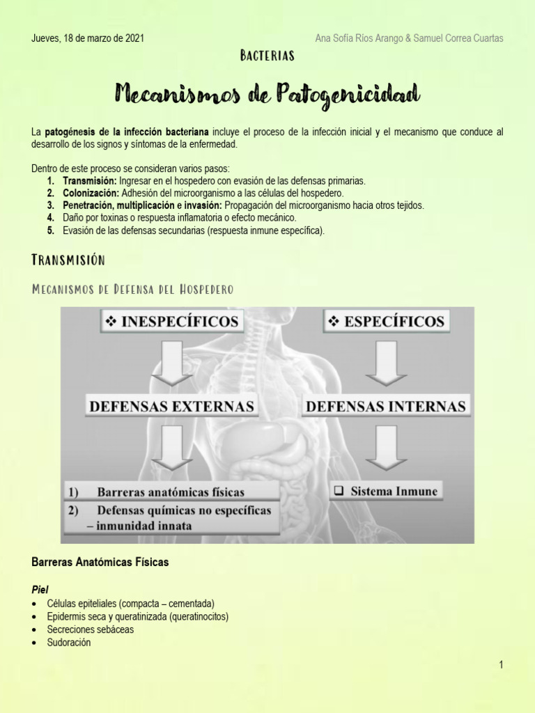 Mecanismos de Patogenicidad | PDF | Las bacterias | Sistema inmune
