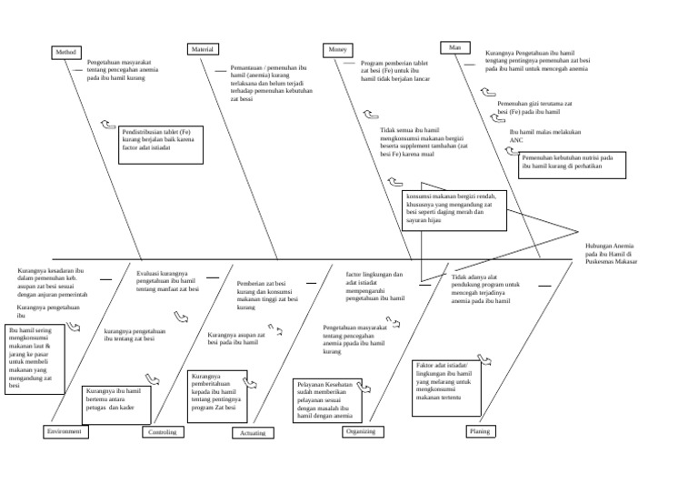 Fisbone kasus Anemia pada ibu hamil | PDF