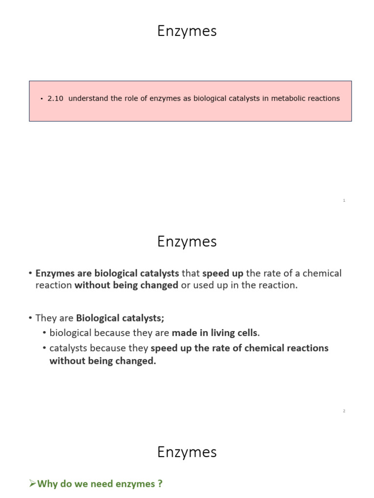 Biological Molecules - Enzymes | PDF | Enzyme | Active Site