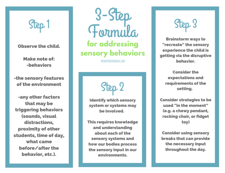 3 Step Formula For Addressing Sensory Behaviors | PDF