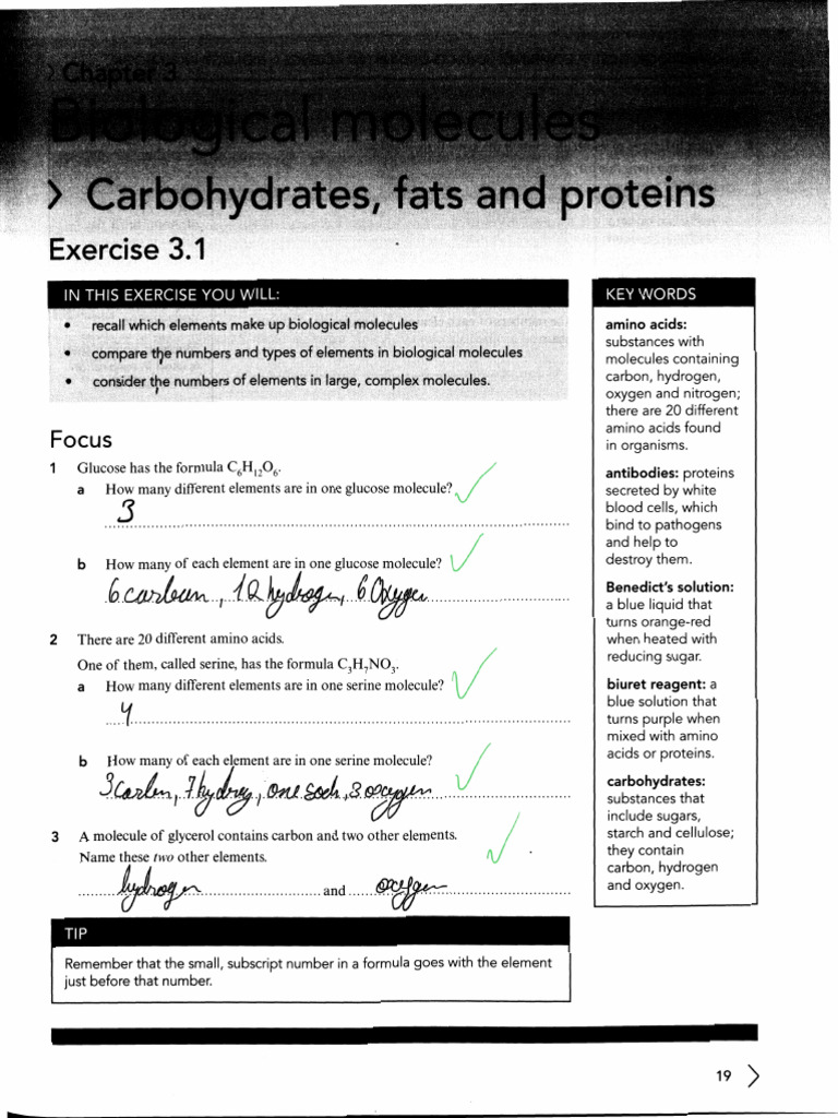 Worksheet Biomolecules | PDF | Carbohydrates | Glucose