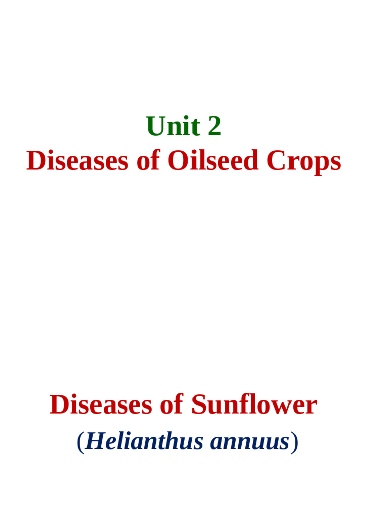 UNIT 3 (2) | PDF | Plants | Botany