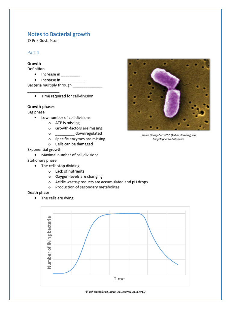 Bacterial Growth Part 1 VT24 | PDF | Bacteria | Cellular Respiration