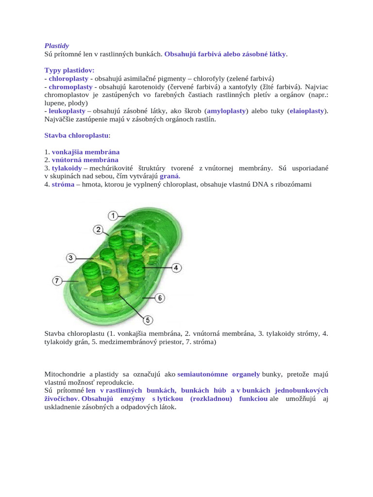 Bunka Dokonä Enie | PDF