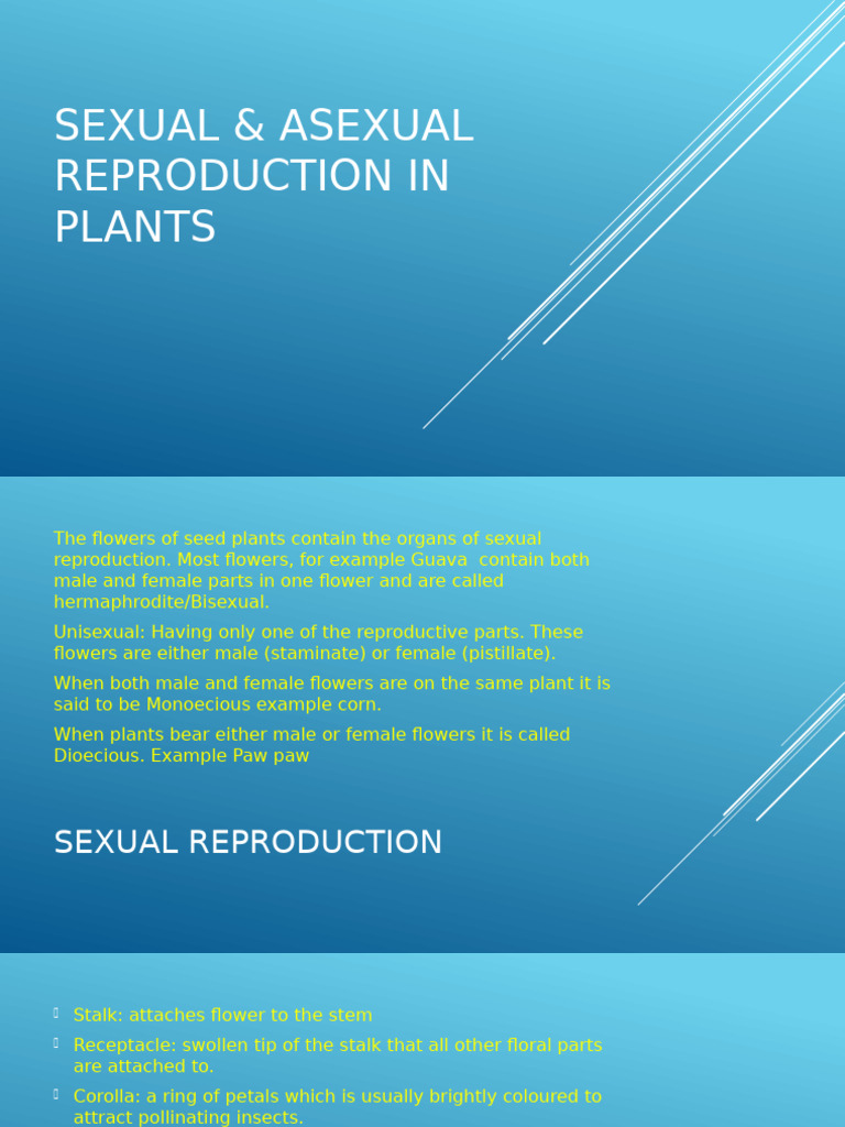 Gss Plant Reproduction Form 4 | PDF | Flowers | Pollination