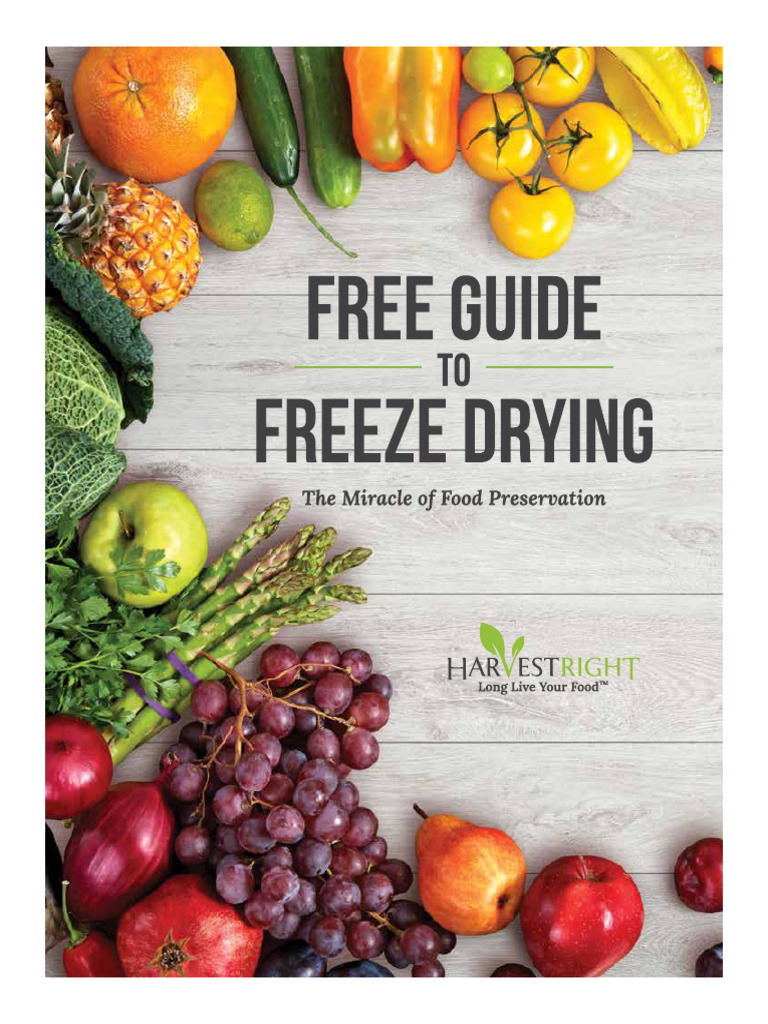 Guide To Freeze Drying | PDF