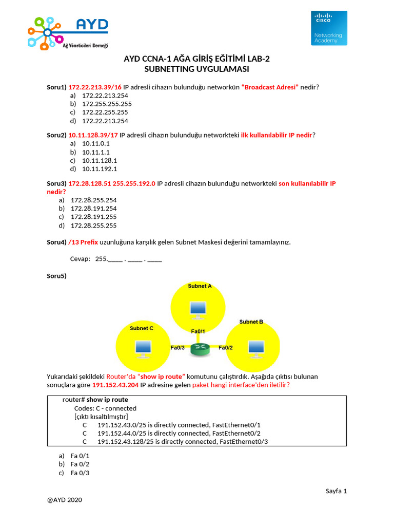AYD CCNA1 Lab2 Subneting | PDF
