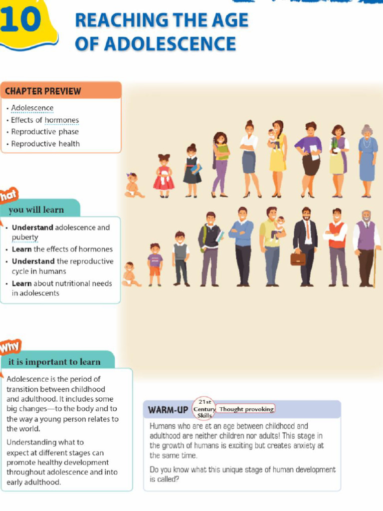 Adolescence | PDF