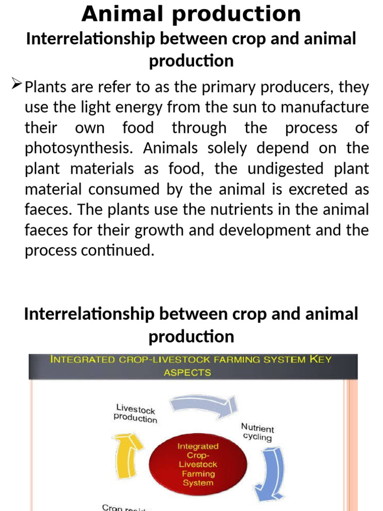 Animal Production Ppt | PDF | Seed | Plant Nursery