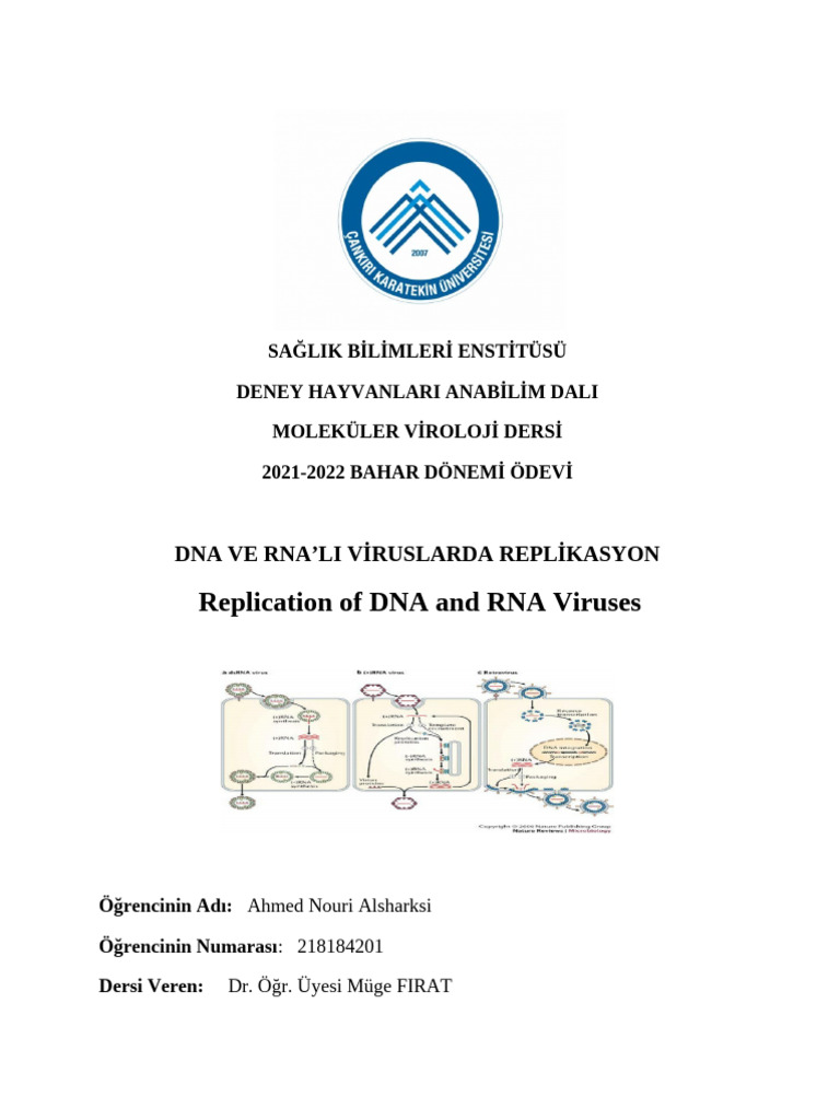 Replication of Dna and Rna Viruses | PDF | Virus | Reverse Transcriptase