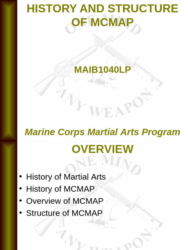 MAIB1040LP History and Structure of MCMAP - Media - 2015 | PDF ...
