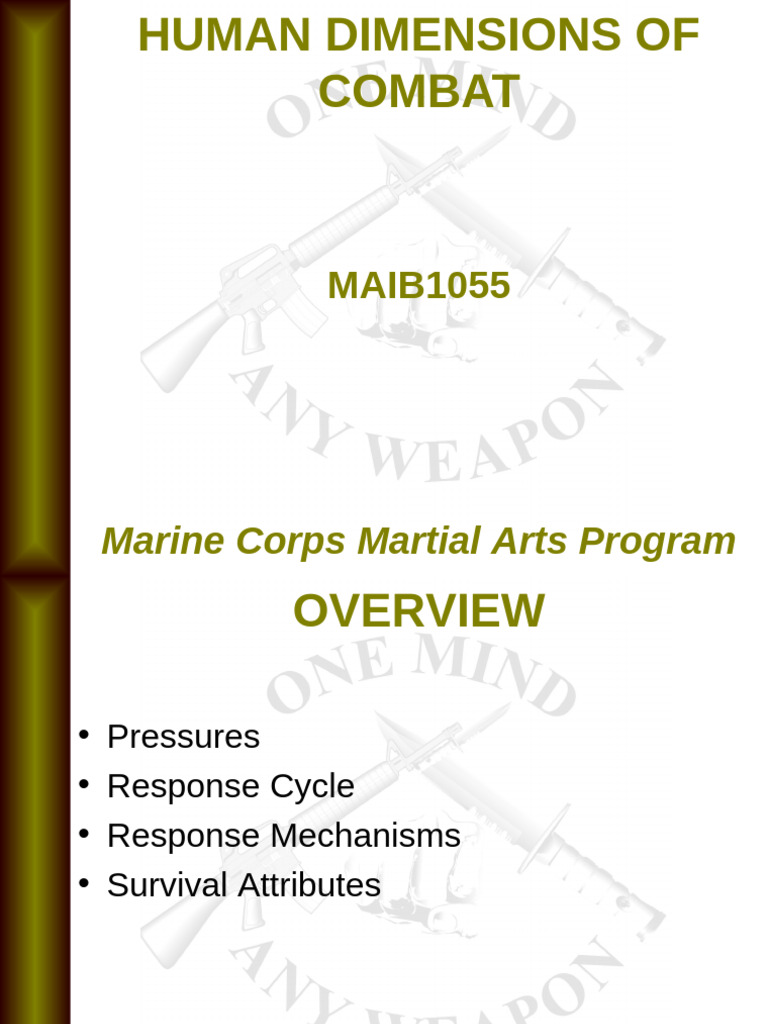 MAIB1055 Human Dimensions of Combat - Media - 2015 | PDF | Affect ...