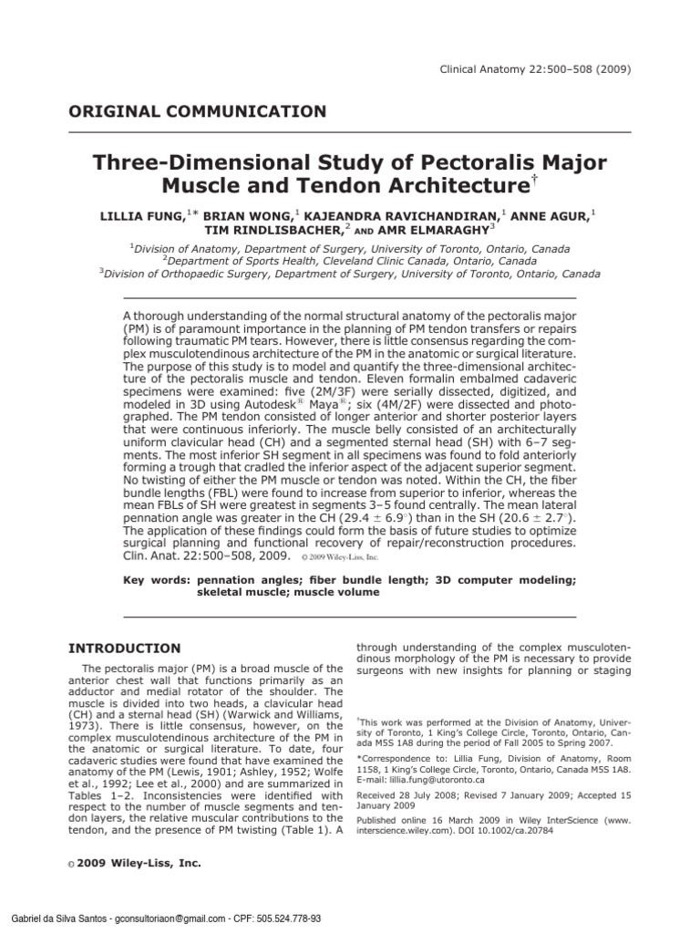 Three-Dimensional Study of Pectoralis Major Muscle and Tendon ...
