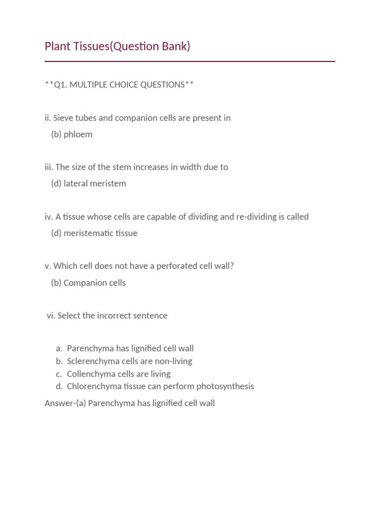 Plant Tissue Question Bank Guide | PDF | Tissue (Biology) | Plant Stem
