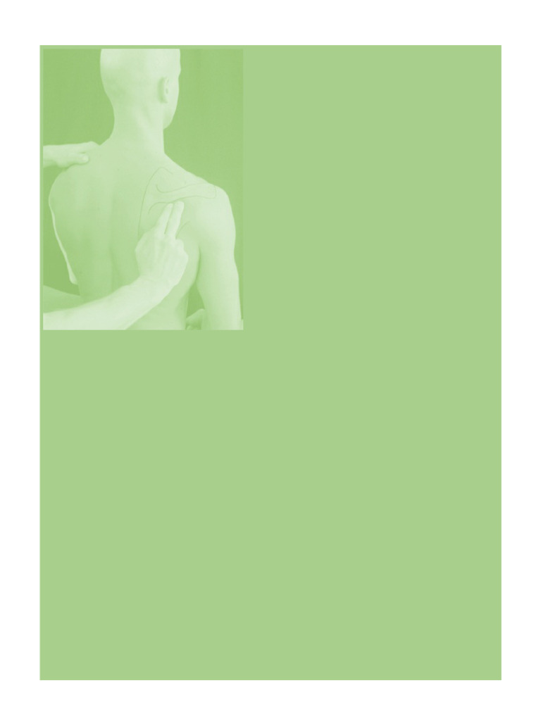 Palpation Techniques for Shoulder Anatomy | PDF | Shoulder | Anatomical ...