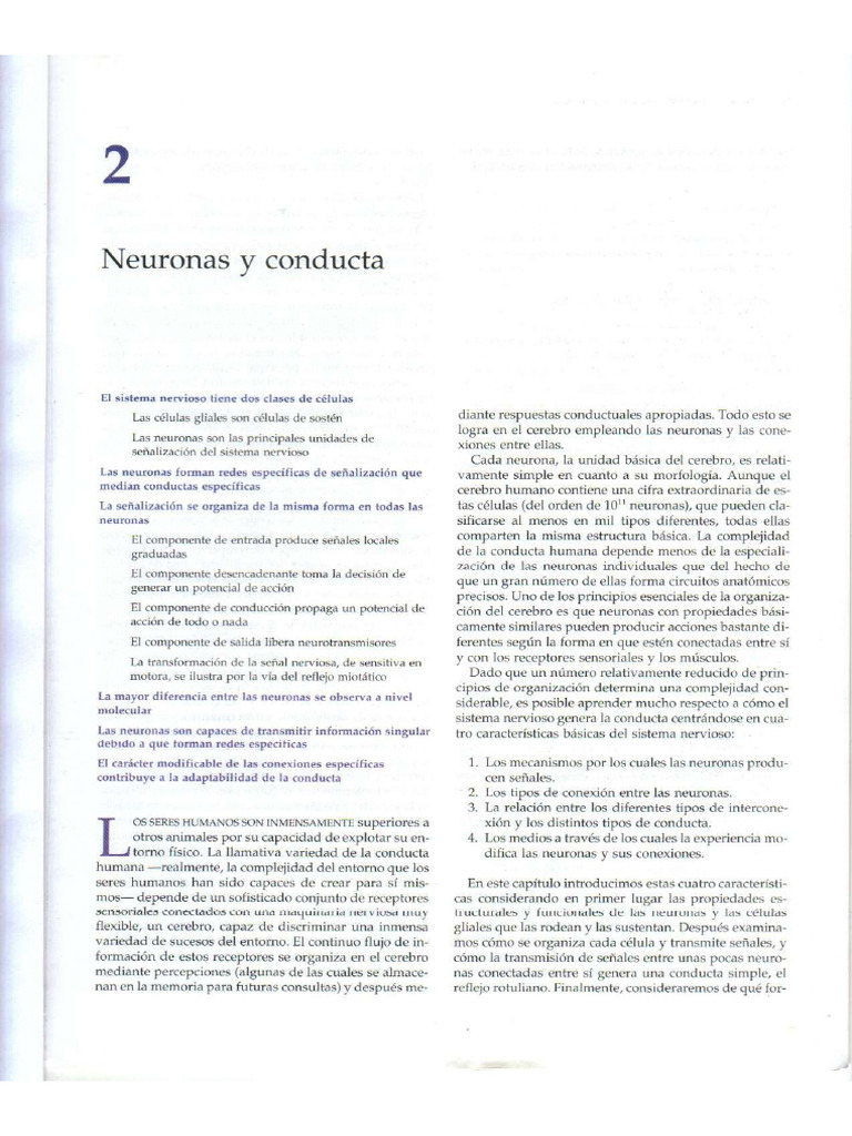 Kandel 3 | PDF
