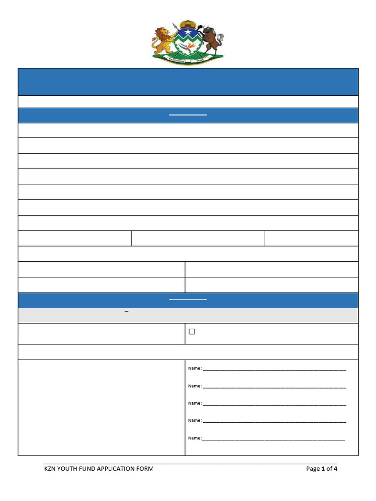 KZN Youth Fund Application Form | PDF | Business | Economies