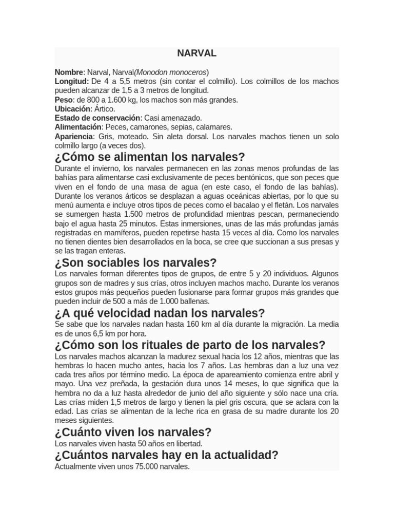 Datos fascinantes sobre el narval | PDF | Zoología