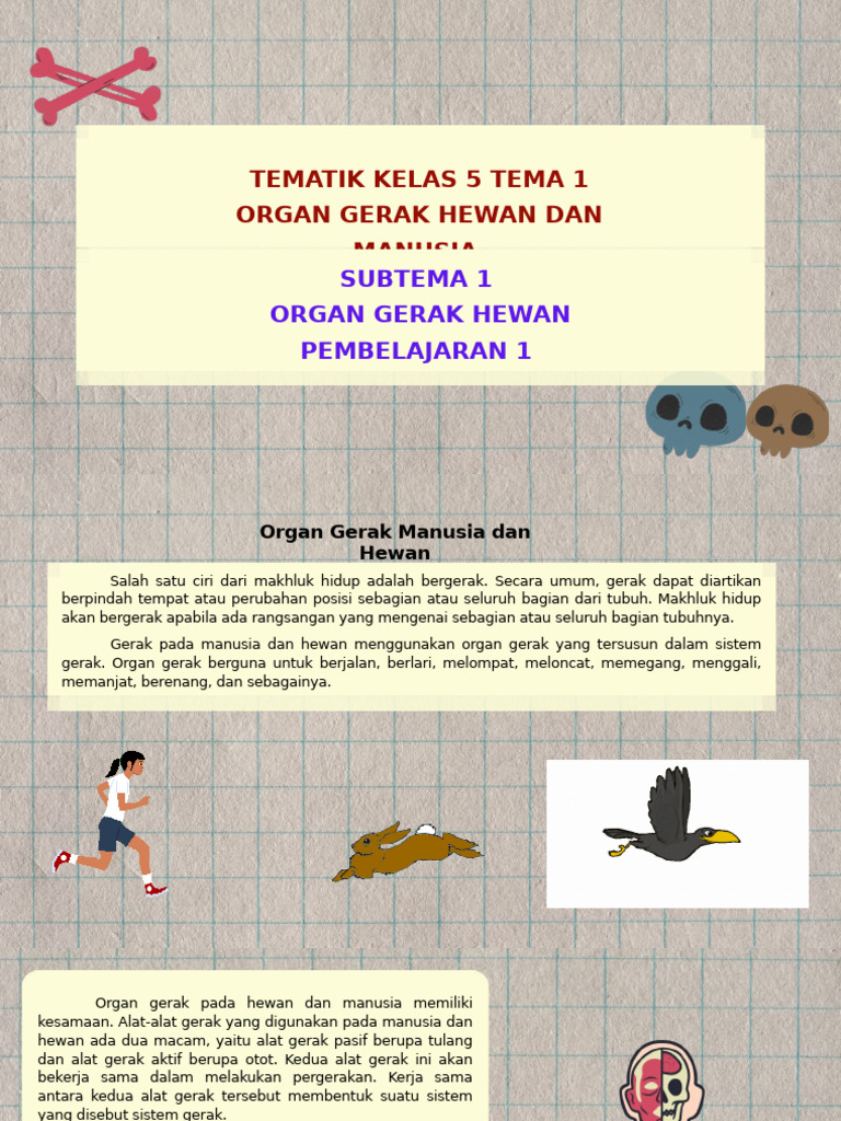 Organ Gerak Hewan dan Manusia | PDF