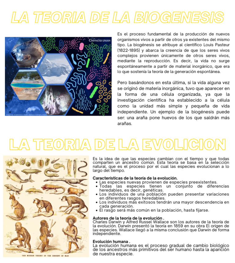 La Teoria de La Biogenesis | PDF