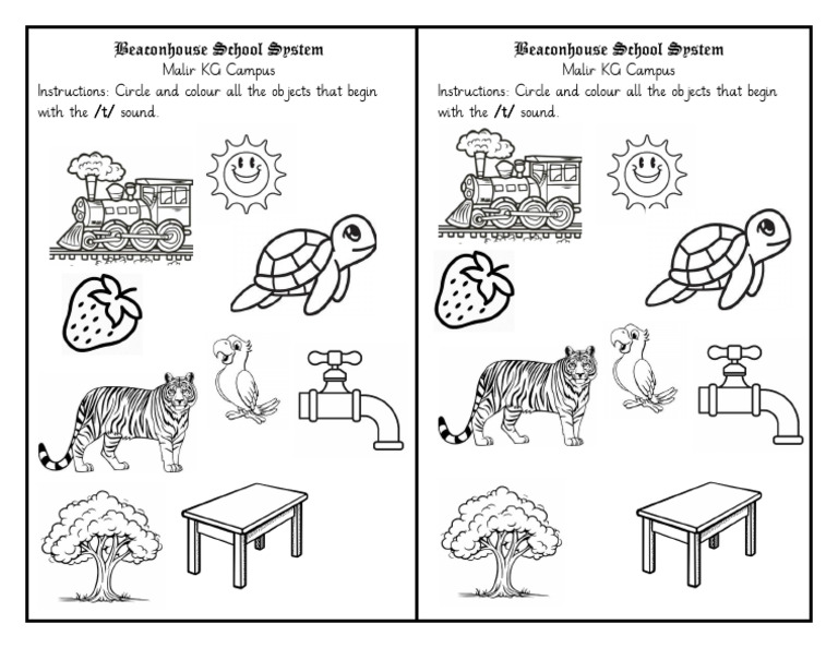 TT Worksheet Picture Identification | PDF