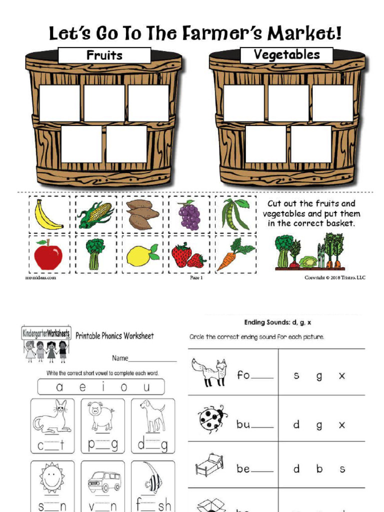 Fruits | PDF