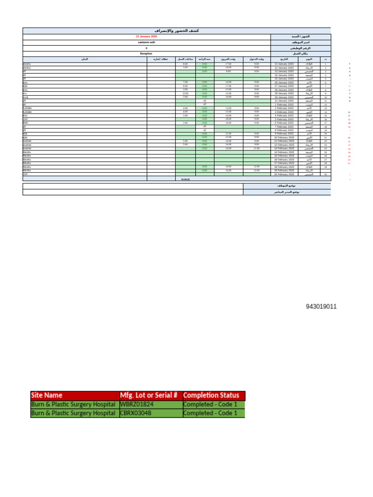 Timesheet-Feb-2025 - Sadamm Salh | PDF
