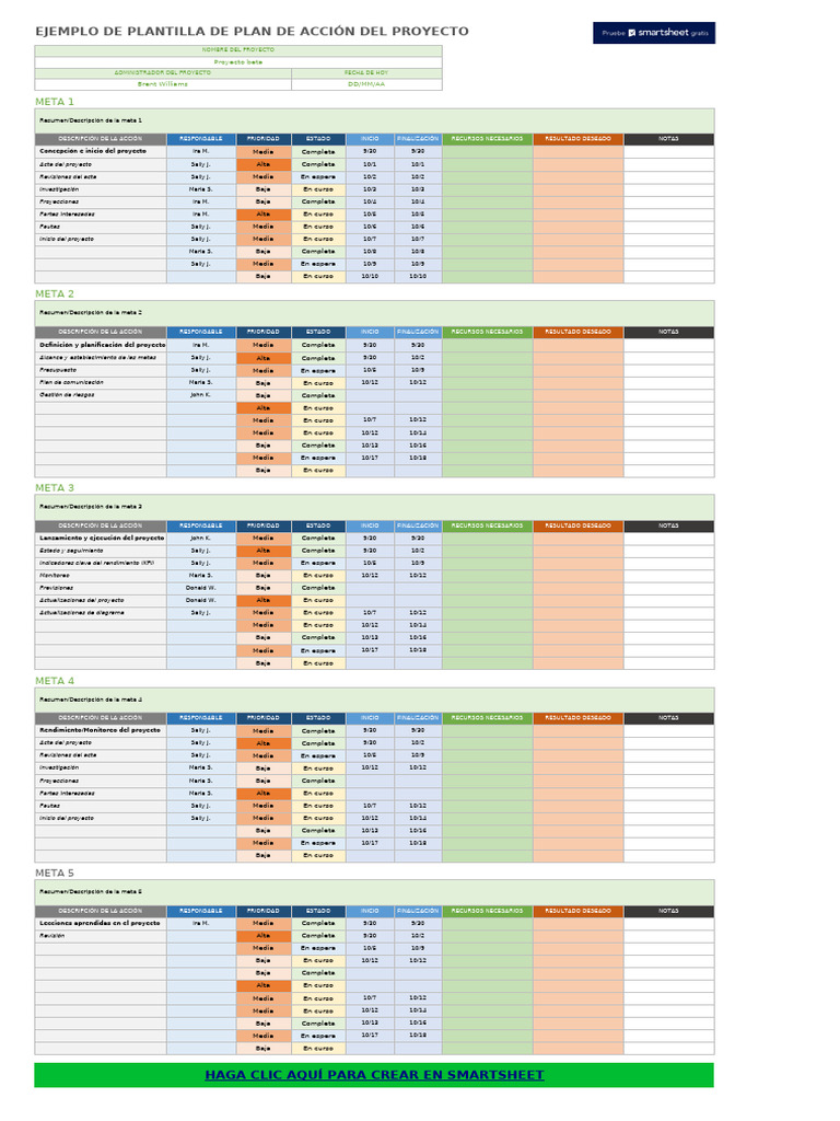 IC Project Action Plan Example 8595 ES | PDF