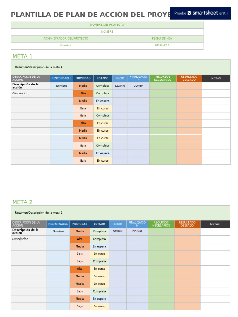 IC Project Action Plan 8595 WORD ES | PDF