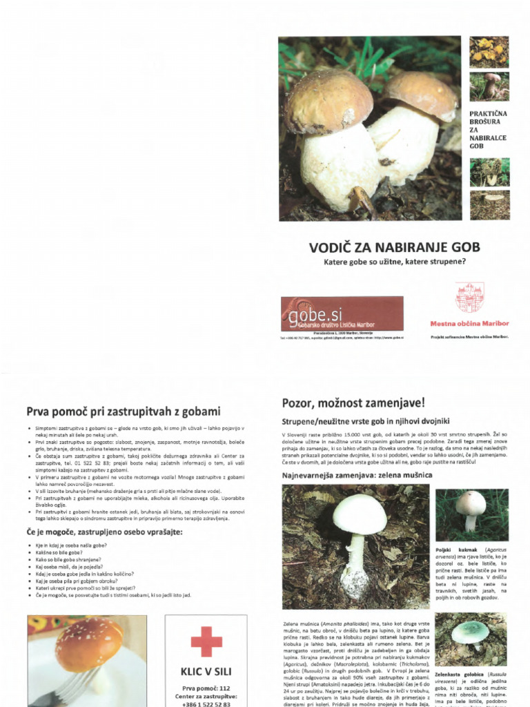 Vodic Za Nabiranje Gob | PDF