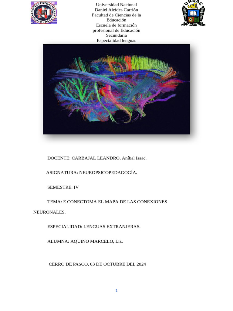 Conectoma: Mapa de Conexiones Neuronales | PDF | Sinapsis | Cerebro