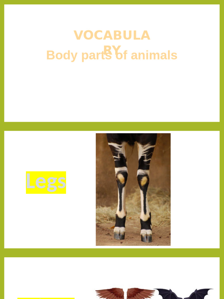 2â° Science Practice. | PDF