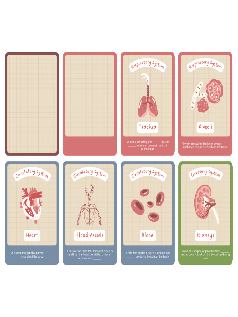 Organ Systems Card Game Activity Science Flashcard in Pink Red ...