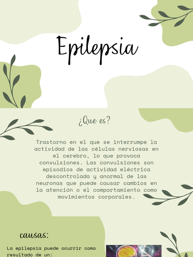 Causas y diagnóstico de la epilepsia | PDF