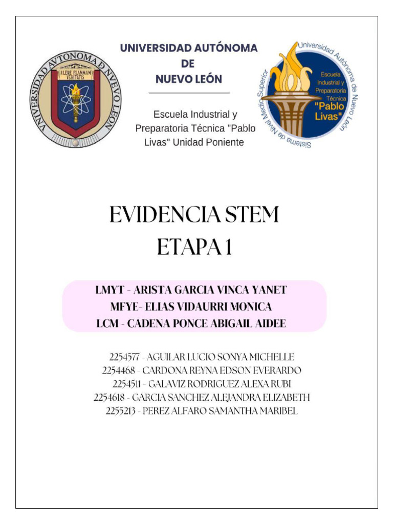 Proyecto Stem - Equipo3 - 212 | PDF