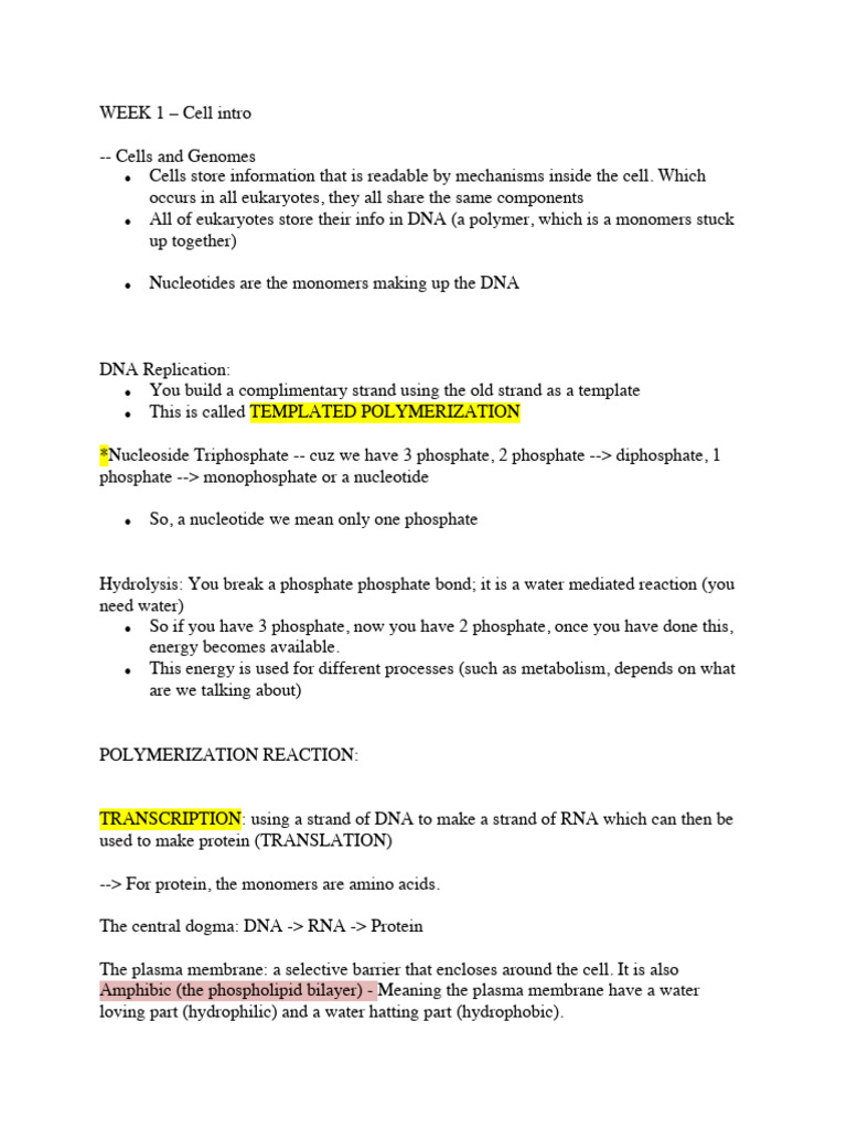 Introduction to Cell Biology Concepts | PDF