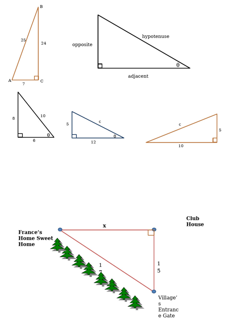 Images Trigo | PDF