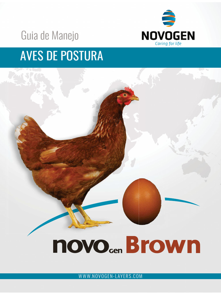 Guia de Manejo Aves de Postura Novogen | PDF | Frango | Aves