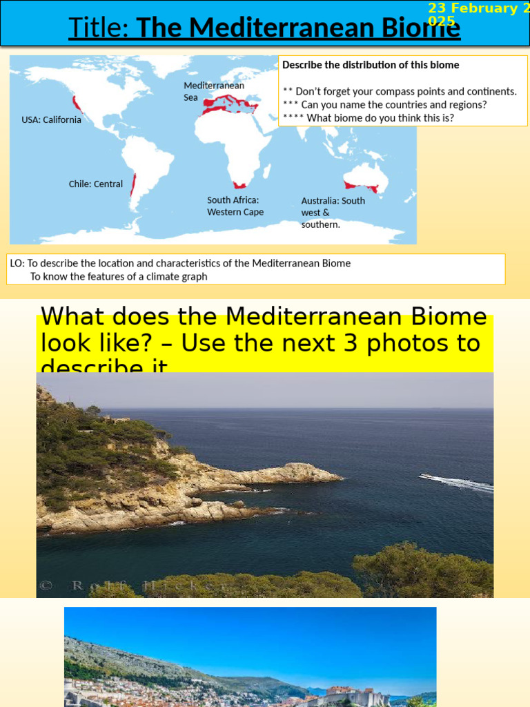 Mediterranean Biome Overview and Features | PDF | Mediterranean Sea ...