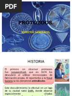 Partes y características del paramecio | PDF | Bioquímica | Química