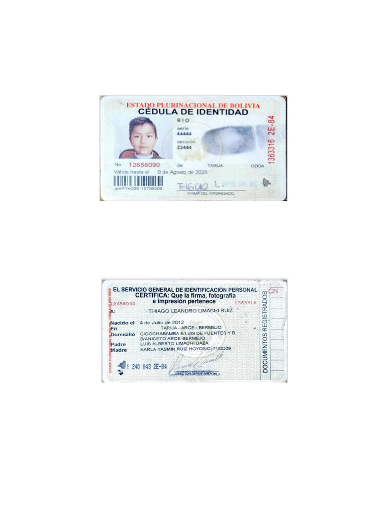 Carnet de Identidad Bolivia | PDF